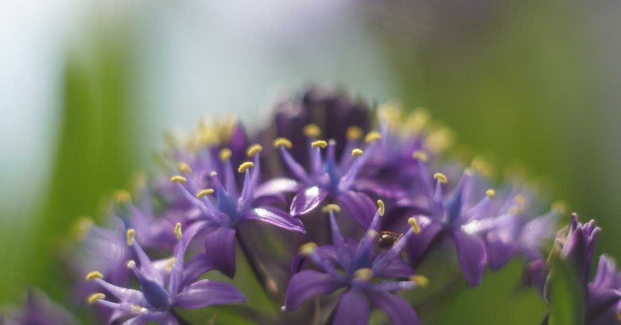 街に出てみた｜senry