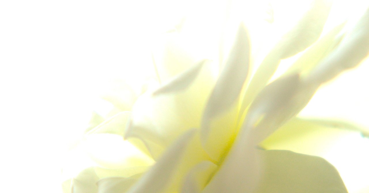 タントラ・・・・｜Cosmic Suzu｜note