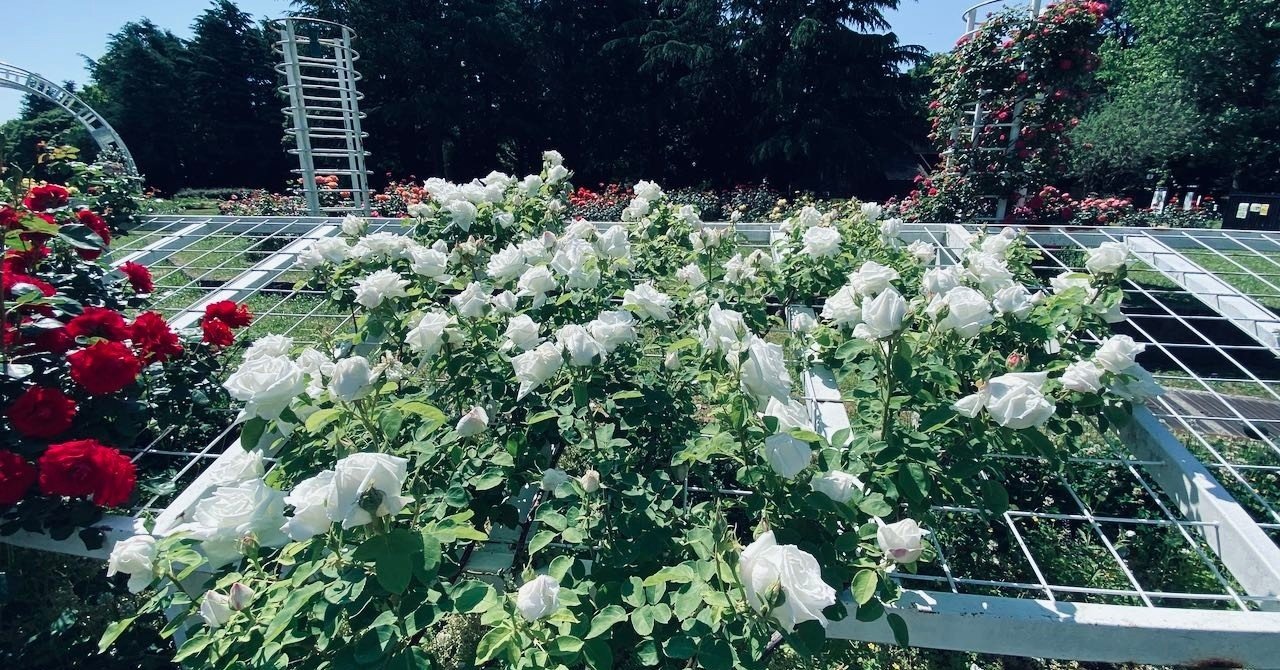 どれだけPRしても、失敗作をヒット作に変えることはできない。｜野呂エイシロウ Noro Eishiro｜note