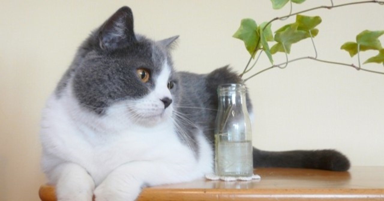 本日は投稿なし｜Hirokazu Kume｜note