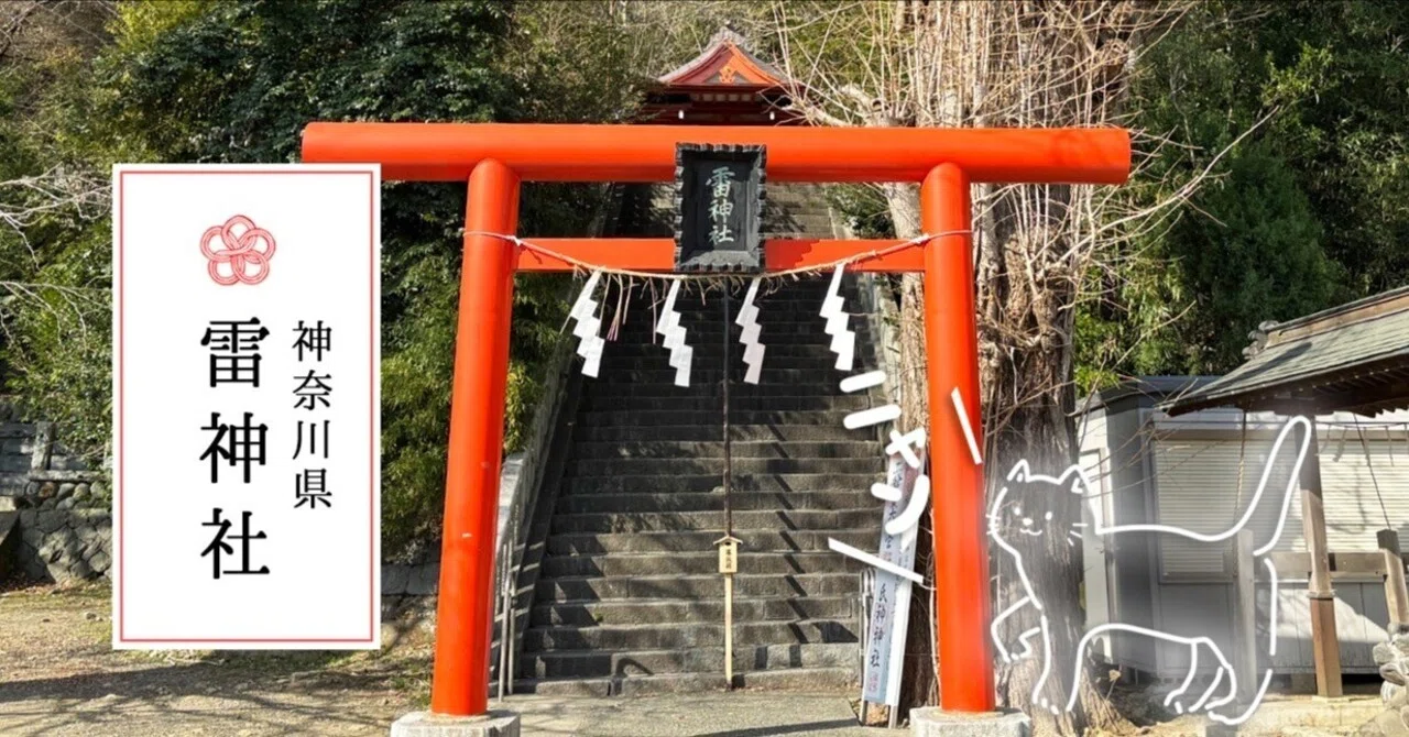 【神奈川】雷神社 / ほぼ白猫ちゃん動画｜Ribeau