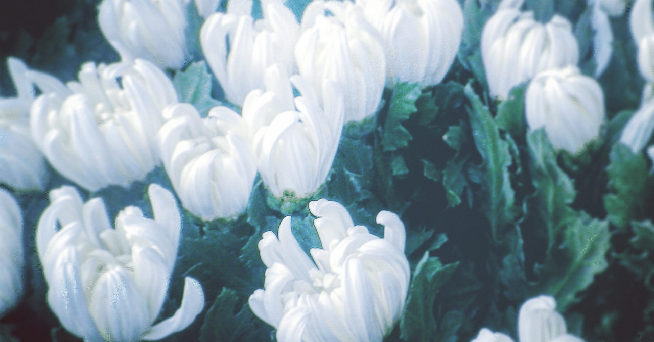 幻冬舎:箕輪康介／オンデーズ:田中修治の対談のメモ｜とっとん / 目指せ!健康な心と体🍀