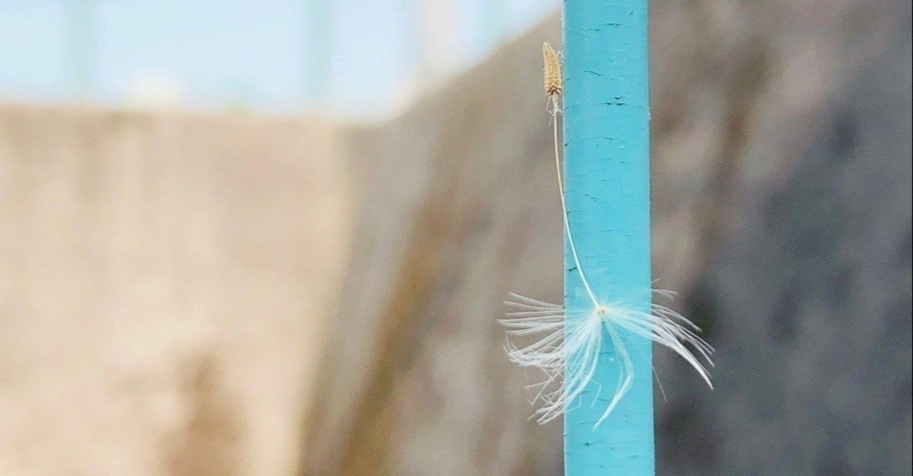 Three Good Things〜コラム、本屋さん、かおりちゃん｜Mika Sudo