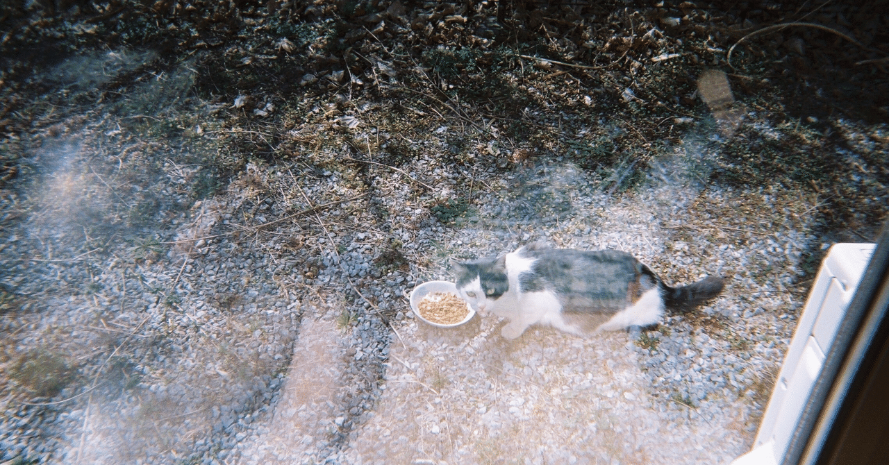 ゆらぎ 生牡蠣｜Tatsuki Inoue｜note