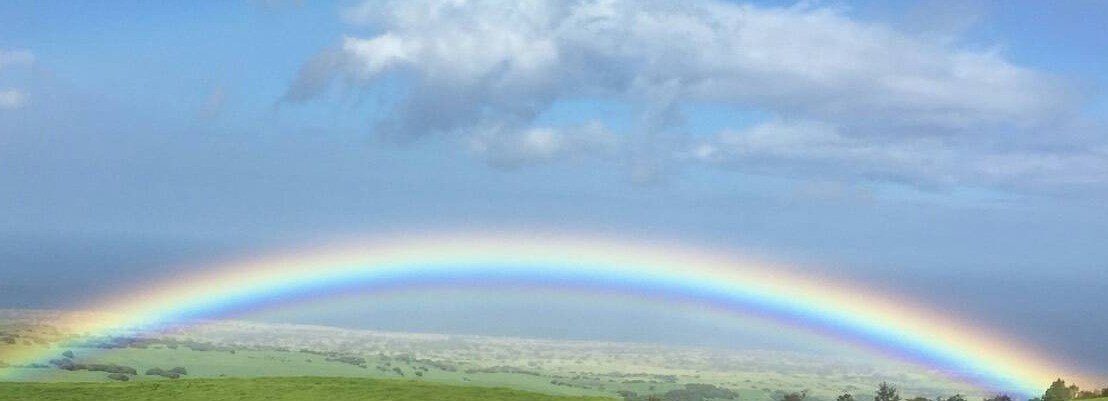 kazuko kousaka｜note