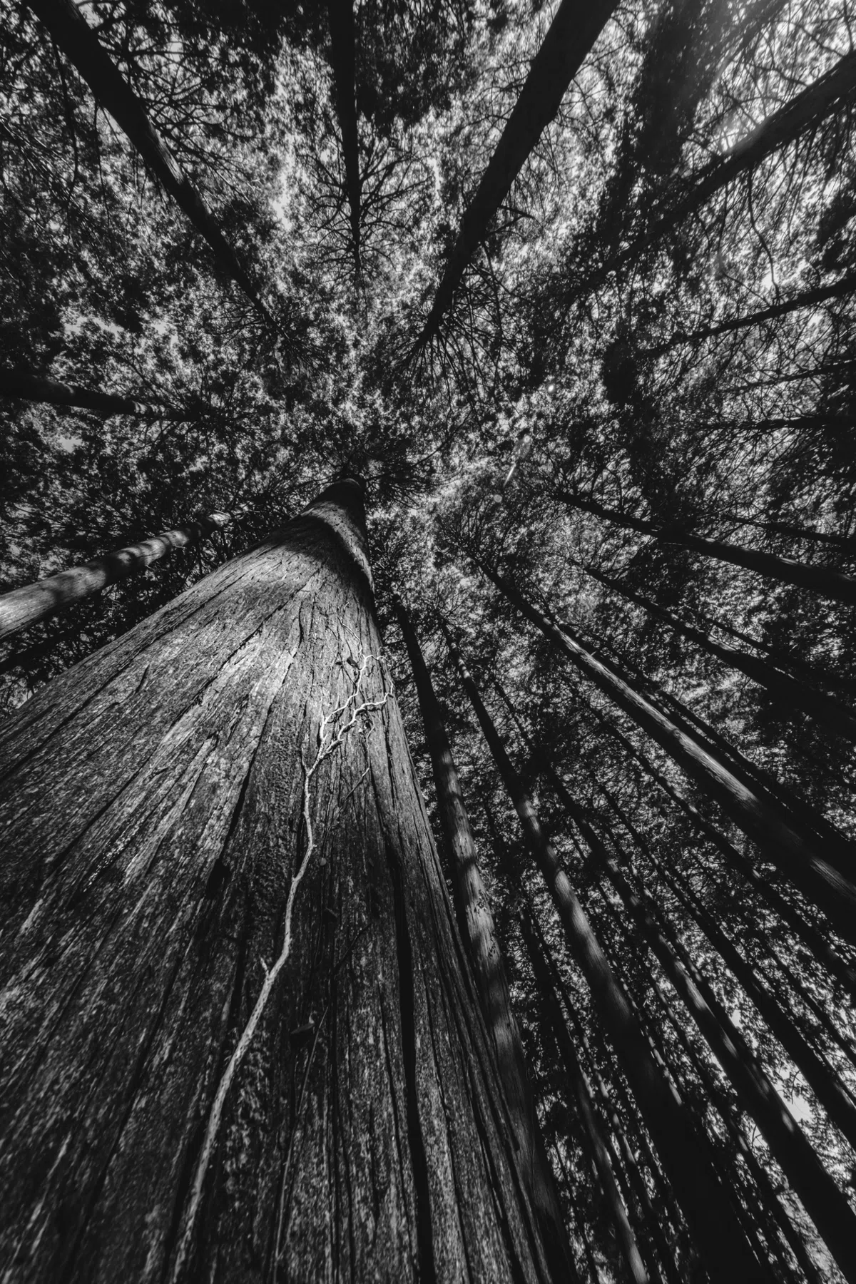 I thought about the question: Does buying an expensive camera make you ...