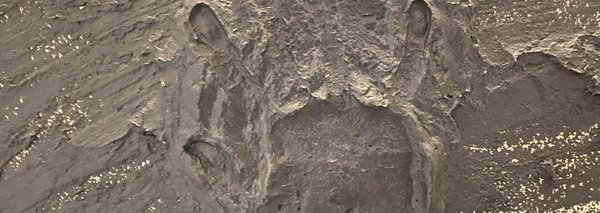 観音美住cannobis｜note