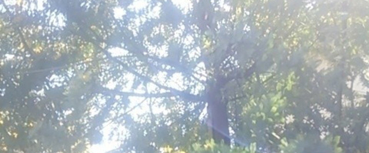 YOGA IS HOW TO LIVE.｜miyoga｜note