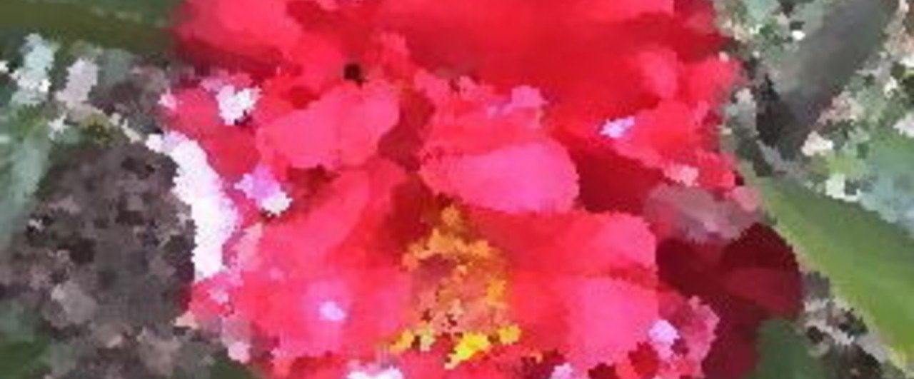 カメリア｜Murase Kenji｜note