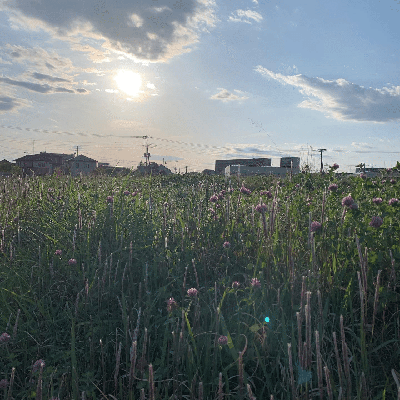 植物と同じ目線でみてみる。｜Tenten(@10style4u/@10style4men)