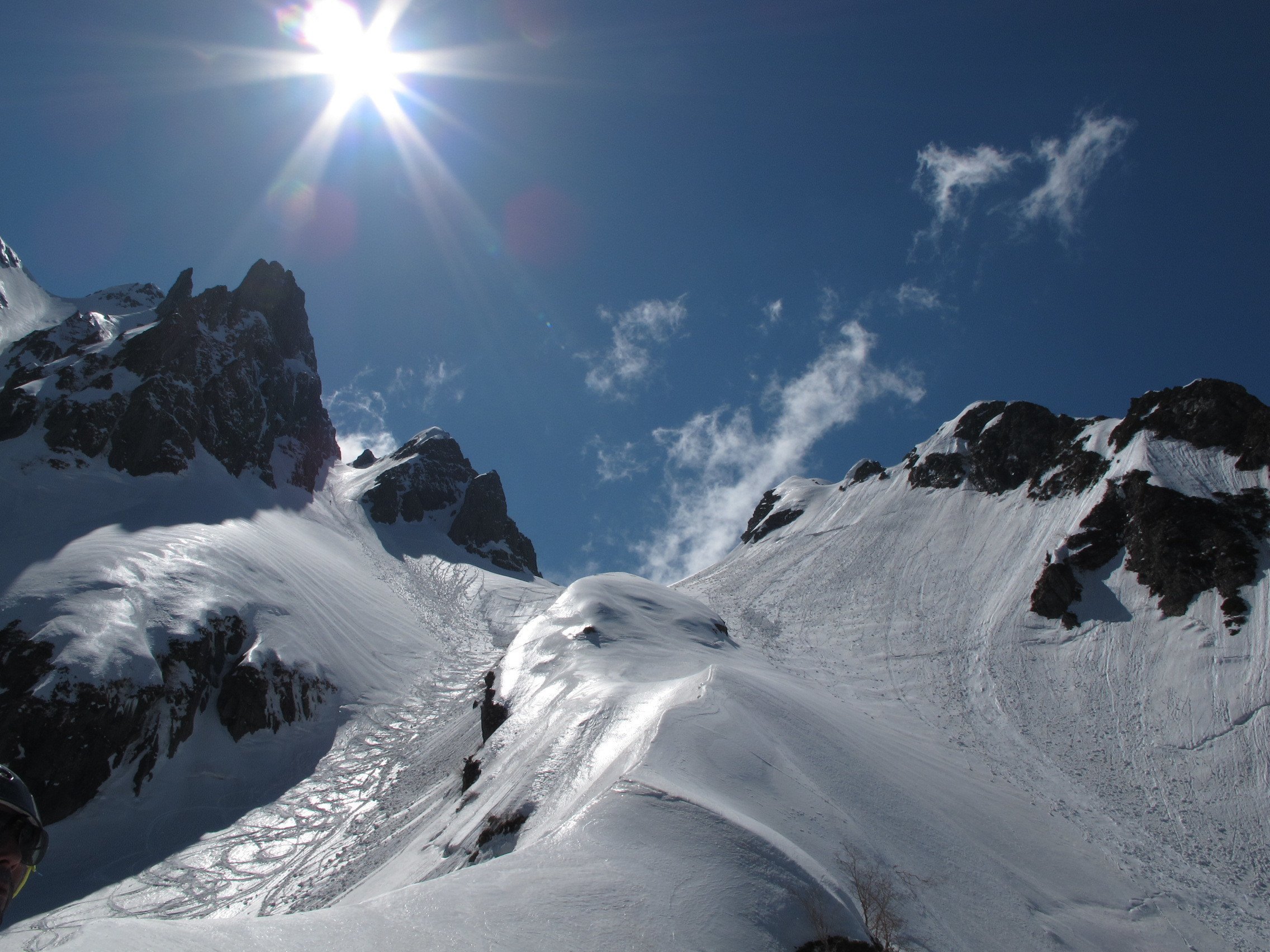 Shinobu Sakaguchi｜note