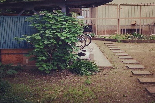 Megumi Terada｜note