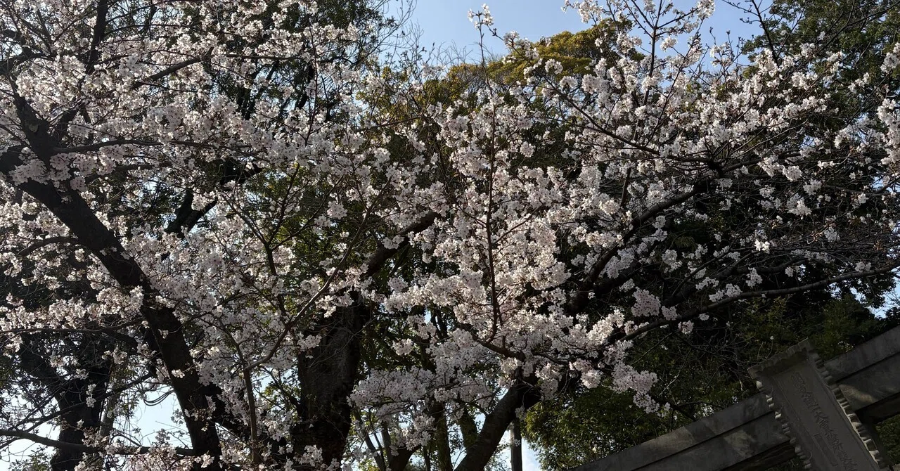 #50 徒然に、いまここ｜Junki Yoshida