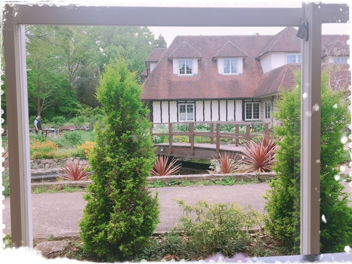 ローズマリー｜ryoju