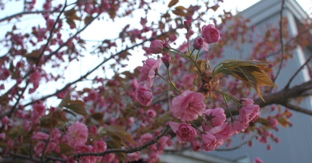 インキャの街コン徹底解説｜大塚スタンドFM毎週土10時更新｜note