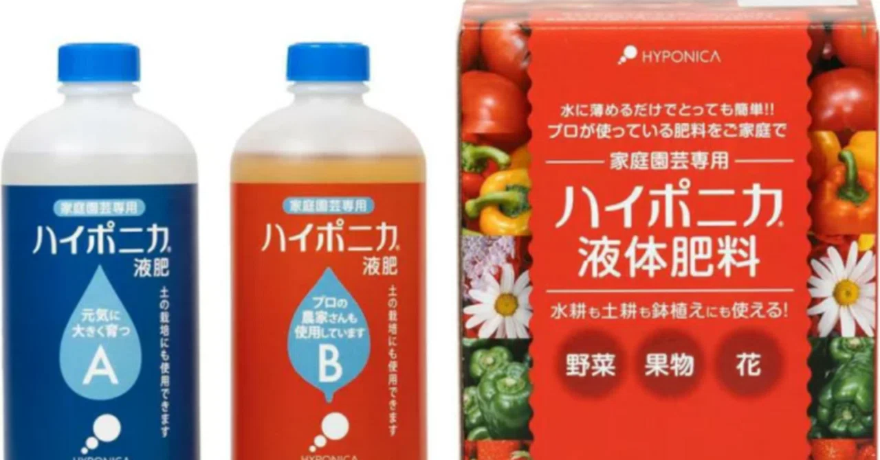 お部屋を小さな農園に！ダイソーグッズで始める 水耕栽培ライフ｜panpakapan