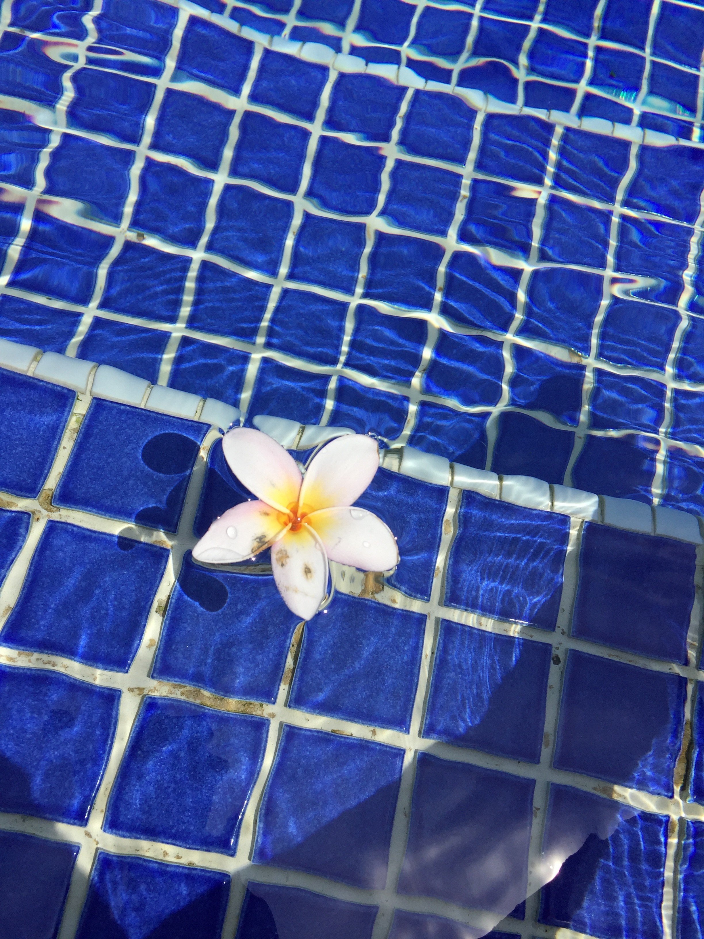 まゆ｜Mayu Nishikawa｜note