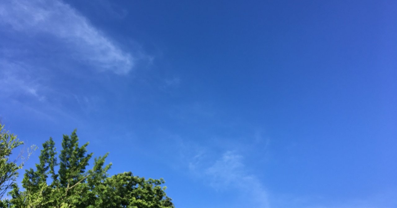 少年になった君に｜sikuramen｜note