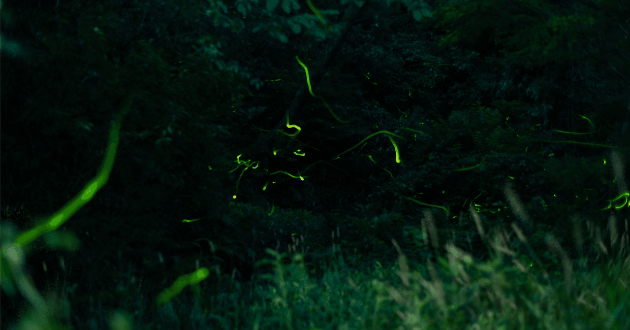 生物英語30選🧬｜ジェフ英語