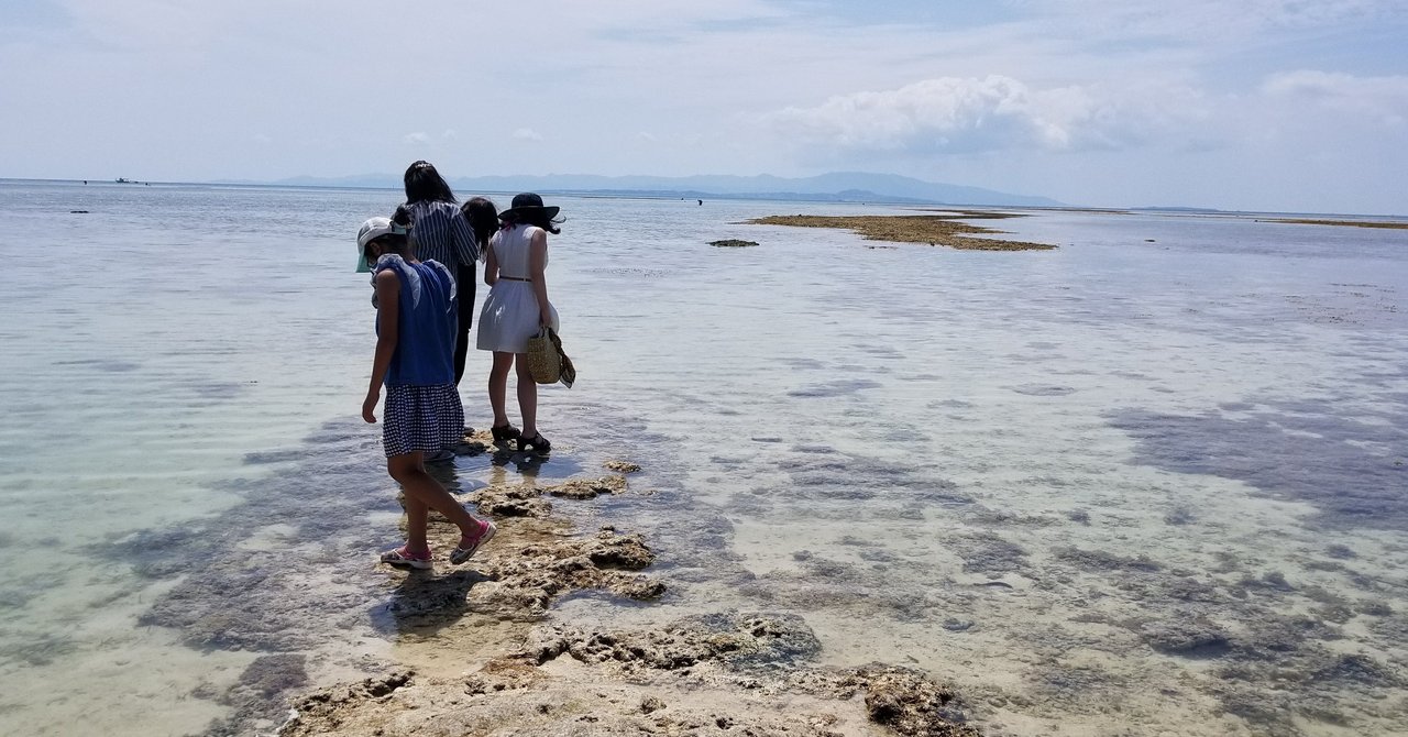 はじめまして、gamicoです｜gamico｜note