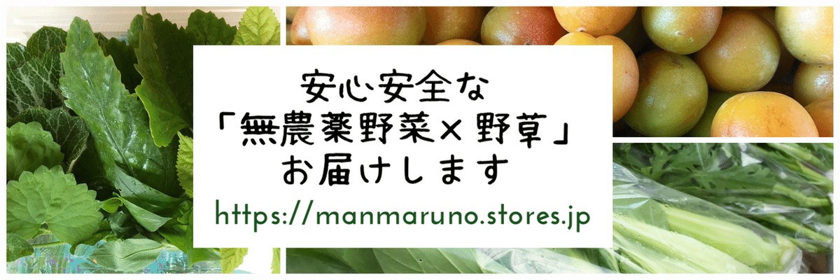 徳川家康の「必勝ドリンク」レシピ｜Miki Usami