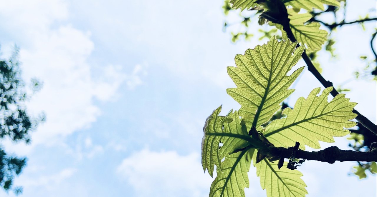 書くのが苦手でも、「読まれる文章」を書く方法｜Toshio Tsukuda（書籍編集者）｜note