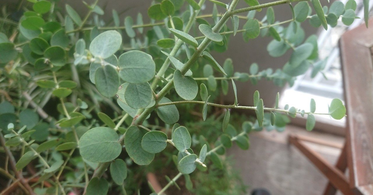 知は癒しなり。｜Reiko Hara｜note