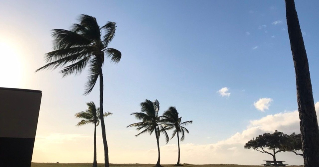 自分を表現してみる - 自己紹介過去編｜小屋 雄亮 | Yusuke Koya