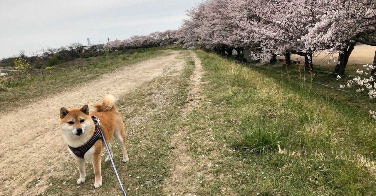 甘え上手｜spica_alisa