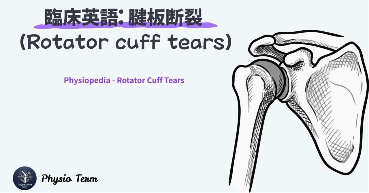 臨床英語: 腱板断裂（Rotator Cuff Tears）｜Physio Term