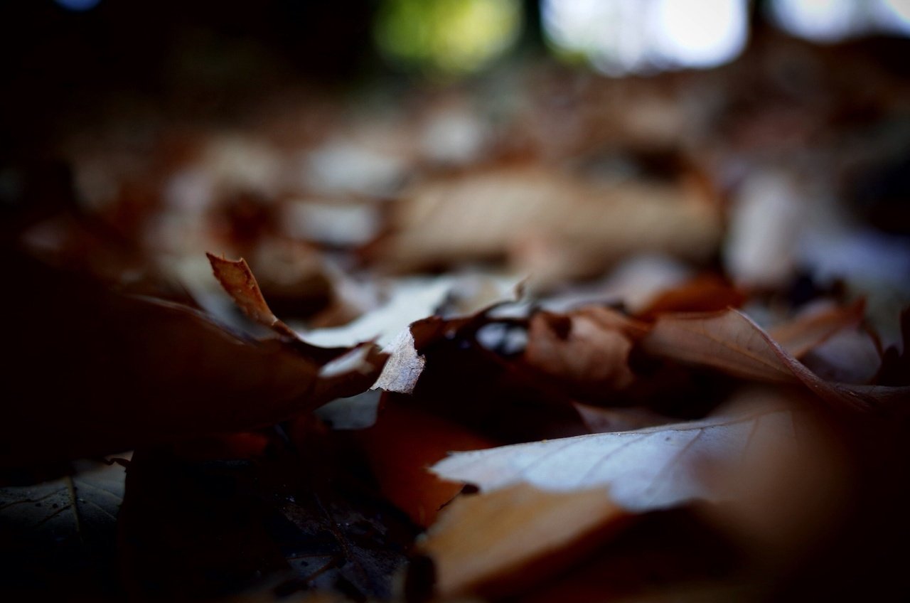 沈んで｜yanagi_009