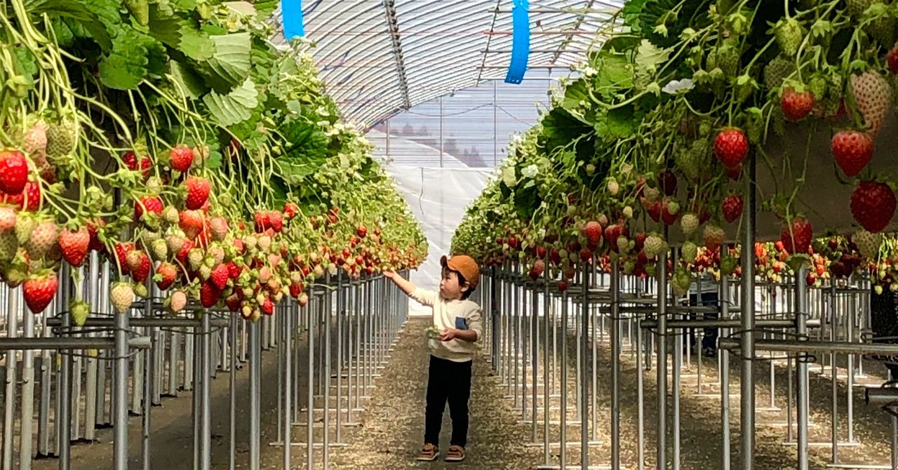 まゆ｜Mayu Nishikawa｜note