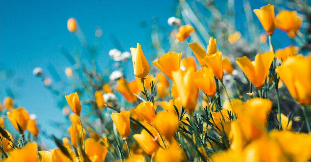 新しい地球の人に与えられる役割と、役割が決まる判断基準｜The centor of my cosmos