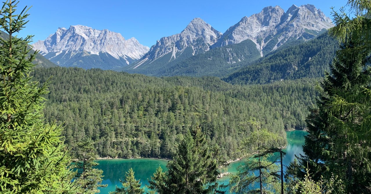 Tellerです｜Teller｜note