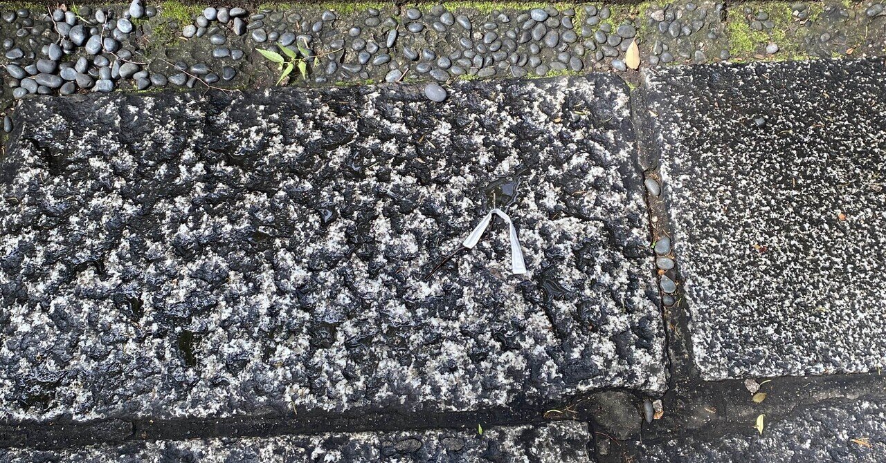 豊川稲荷東京別院開運法 ️ 5/4/R8② ️寅の日 ️毘沙門天様 ️縁日 ️大岡様御廟脇に降って来た⁉️初めての裏みくじ⁉️豐川吒枳尼眞天様 ...