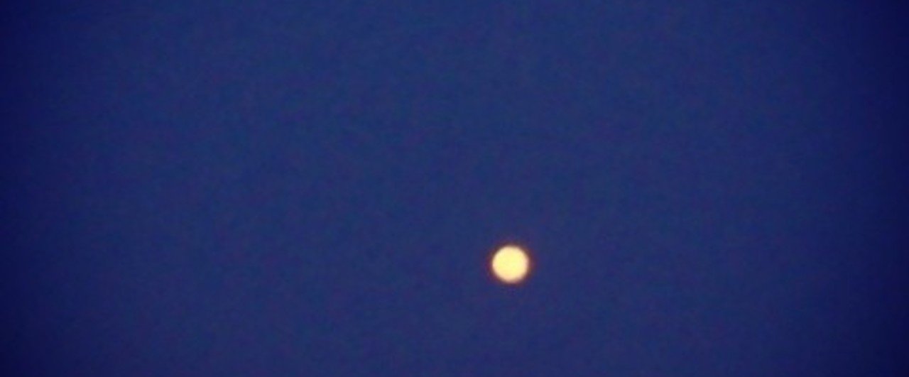 YOGA IS HOW TO LIVE.｜miyoga｜note