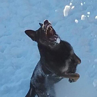 はじめまして。Rocky Mountainの麓より。｜AzCha