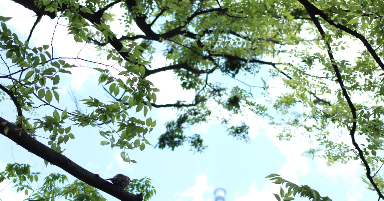 徒然に願いを｜五十嵐浩司 //Koji Igarashi｜note