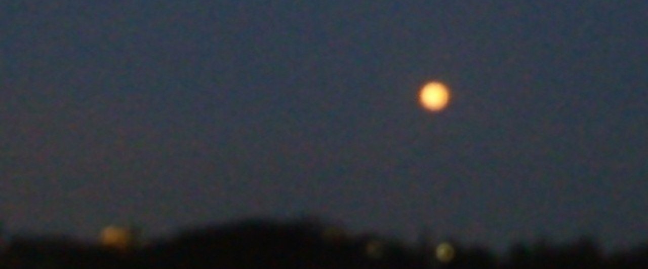 YOGA IS HOW TO LIVE.｜miyoga