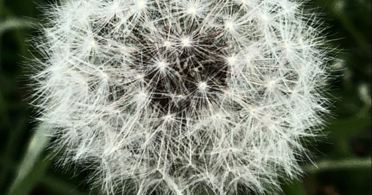 tanpopo｜bujin｜note