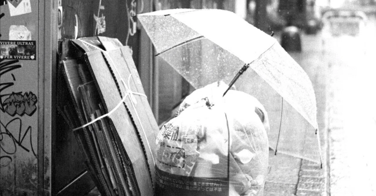 I like clear umbrellas｜MOJA MOJA