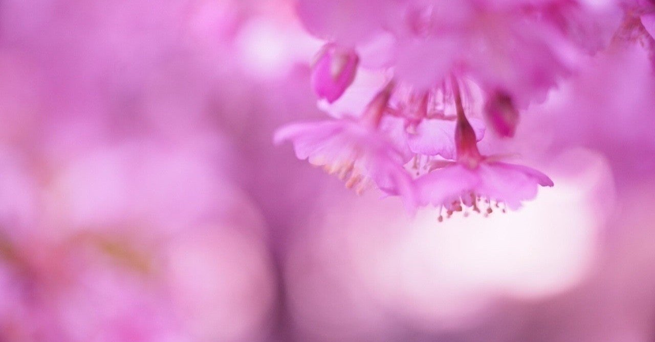 エンディングノートの種類｜kazuhiro_m