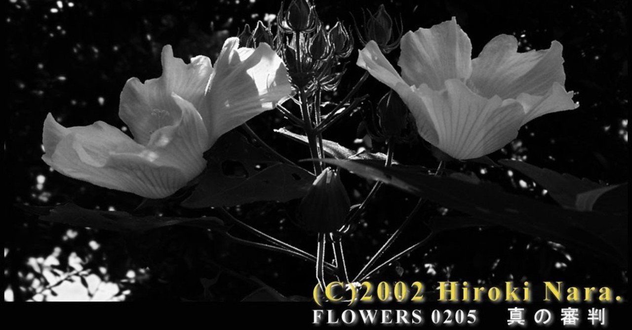 給付金で落とし穴 「詐欺では…」問い合わせ到｜hiroki-nara