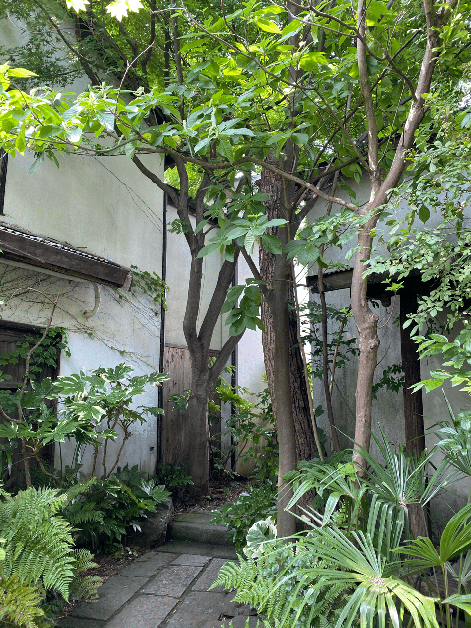 茅ヶ崎ライフの魅力！｜daishiro_okada｜note