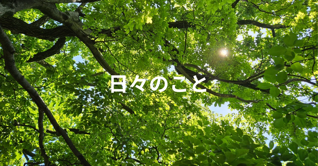 出す音について｜Ichika Mori
