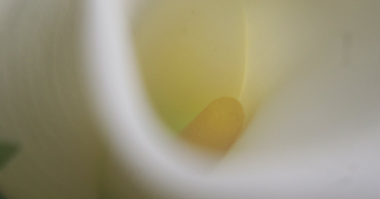 繋がること」。・。・。｜Cosmic Suzu｜note