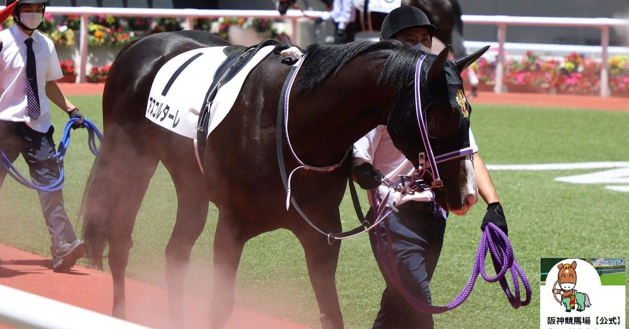 6/7（日）阪神5R 1番人気馬｜JRDB 競馬アラカルト｜note