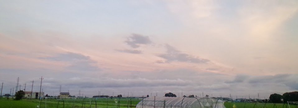 Tetsuya Murakami｜note