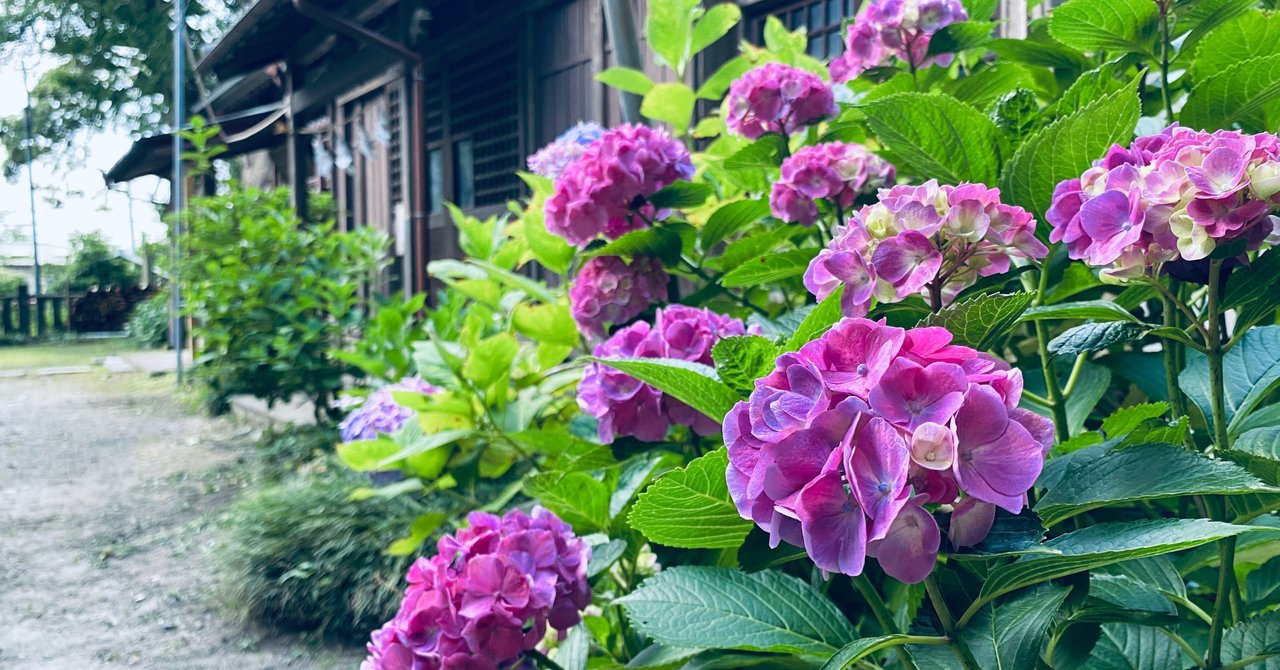 鎌倉に引っ越しました。｜yocco｜note