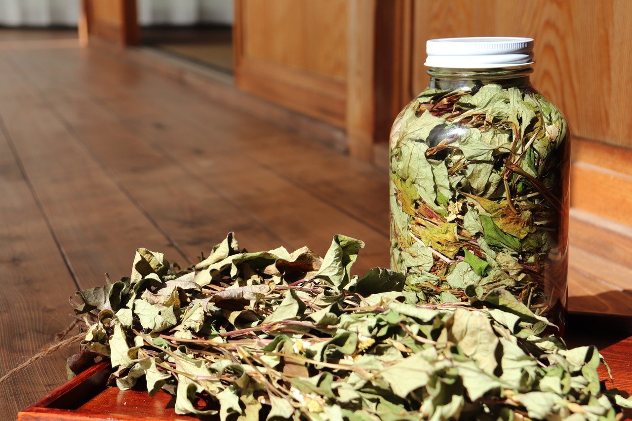 変化と進化｜Sosyu Kikuchi｜note